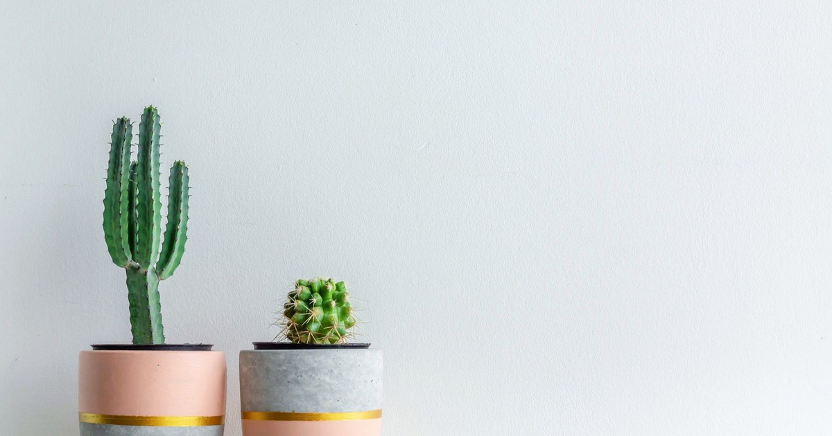 7月8日（火）今日はとくに要注意な警戒日。行くと危ない場所がありますよ！｜暮らしニスタ